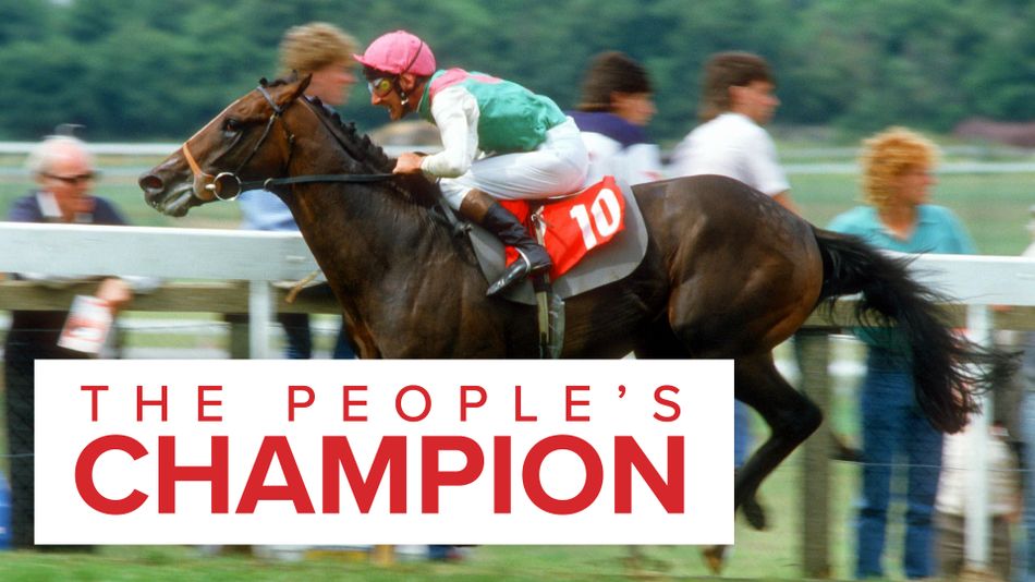 Dancing Brave wins People's Champion poll to join Desert Orchid and ...
