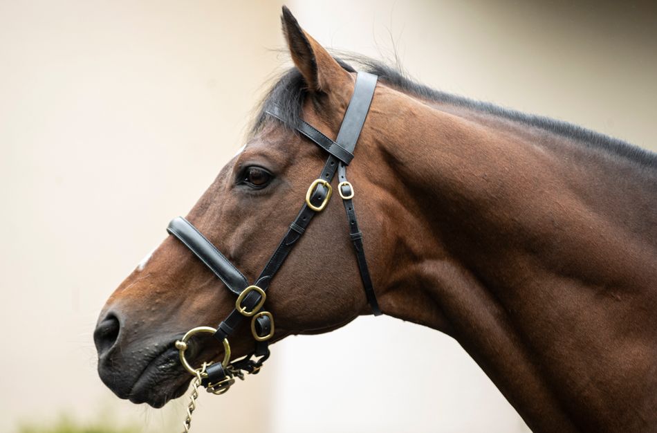 More global glory days for the phenomenon Galileo with Group 1 treble ...