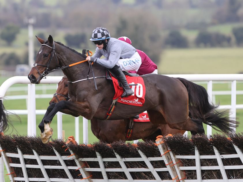Clipper Logistics to hold a National Hunt dispersal at the Goffs ...