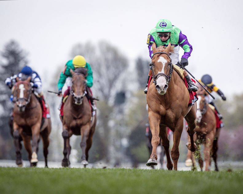 Top US miler Carl Spackler set for stellar Queen Anne at Royal Ascot to ...