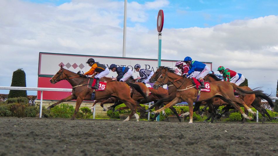 Which trainer will be disappointed if their horse doesn't run a 'huge ...