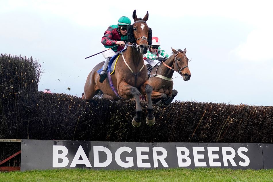 Confirmed runners and riders for the Badger Beer Chase and Britain's ...