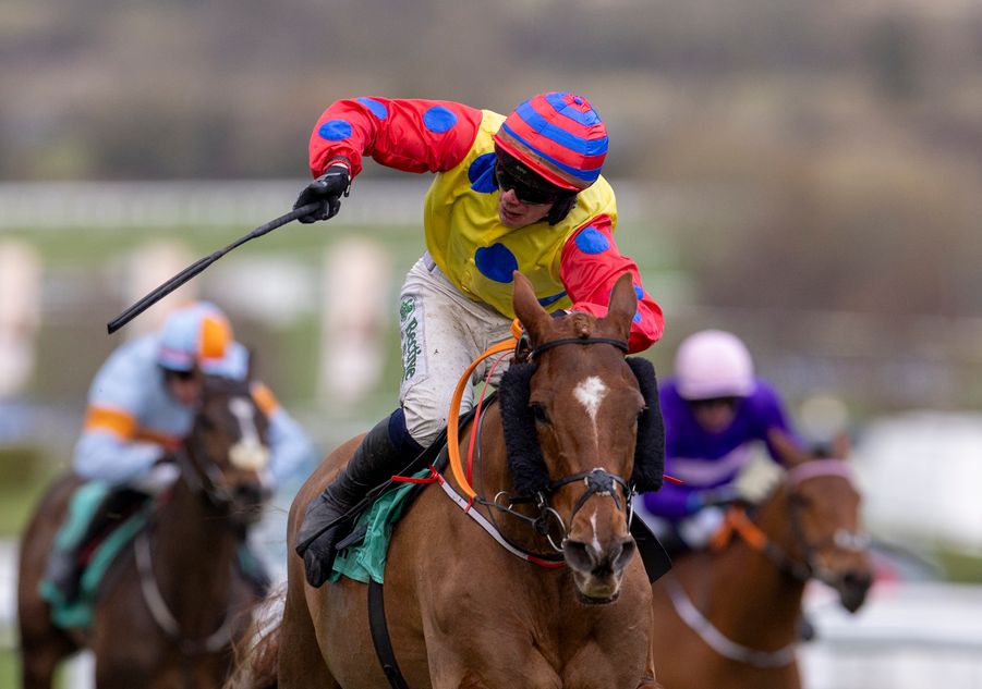 Two Cheltenham Festival wins - could the Galway Plate be next? Jazzy ...