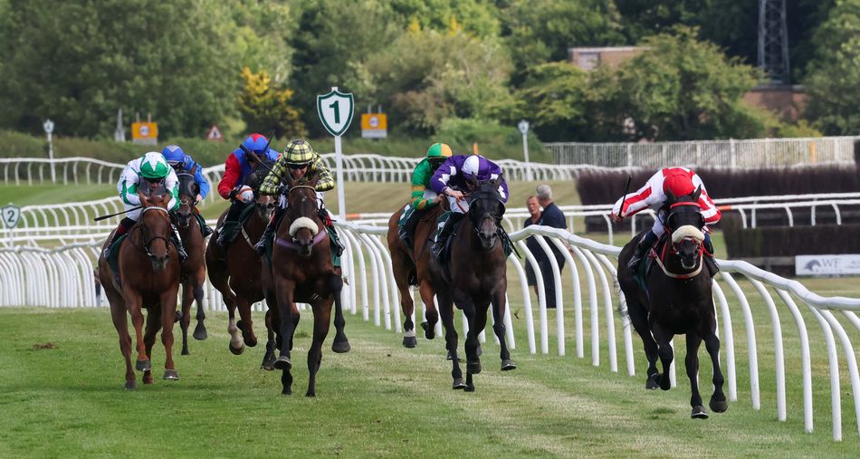 'Hopefully he'll kick on from here' - jumping now the plan for Cosmic ...