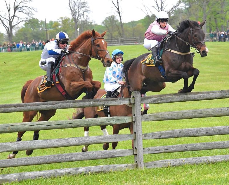Dorset-based point-to-point rider becomes first Briton to win $100,000 ...