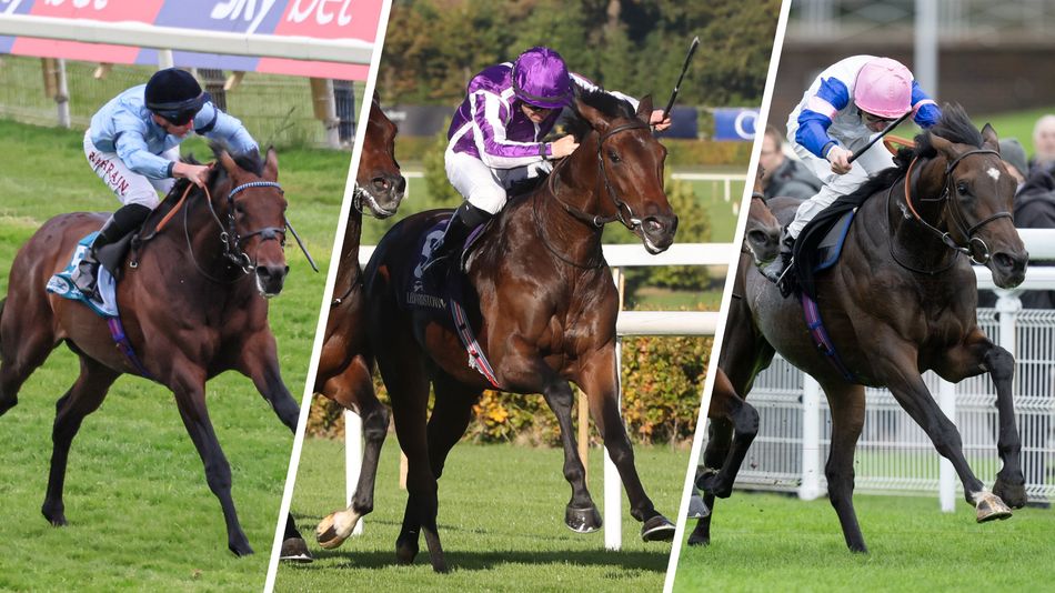 This King George is made for a William Haggas hope - will another well ...