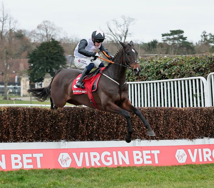 'He could be a Gold Cup horse' - Gerri Colombe looks a future star in ...