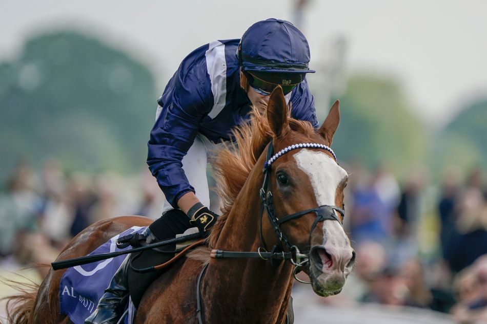'We were possibly wrong to run him' - Haggas team blame deep ground for ...