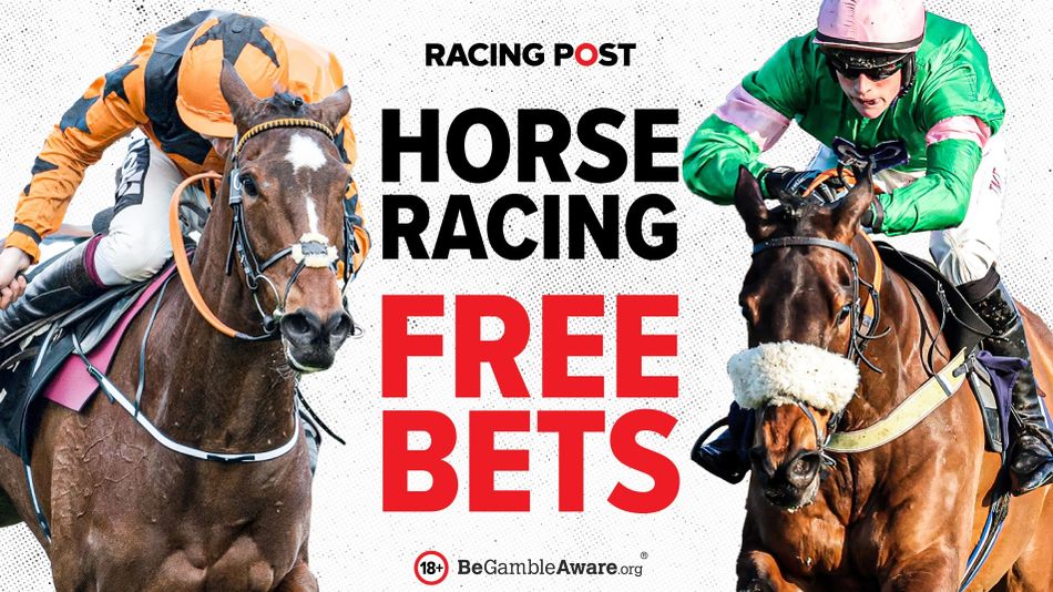 Sky Bet Cheltenham sign-up offer: Get £40 in free bets | Racing Post