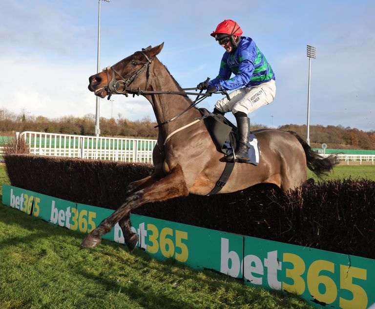 'Hopefully he'll get a run' - Monbeg Genius cut to 33-1 for Grand ...