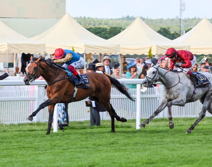 Gregory now 5-2 (from 4) for the Goodwood Cup and set to take the ...