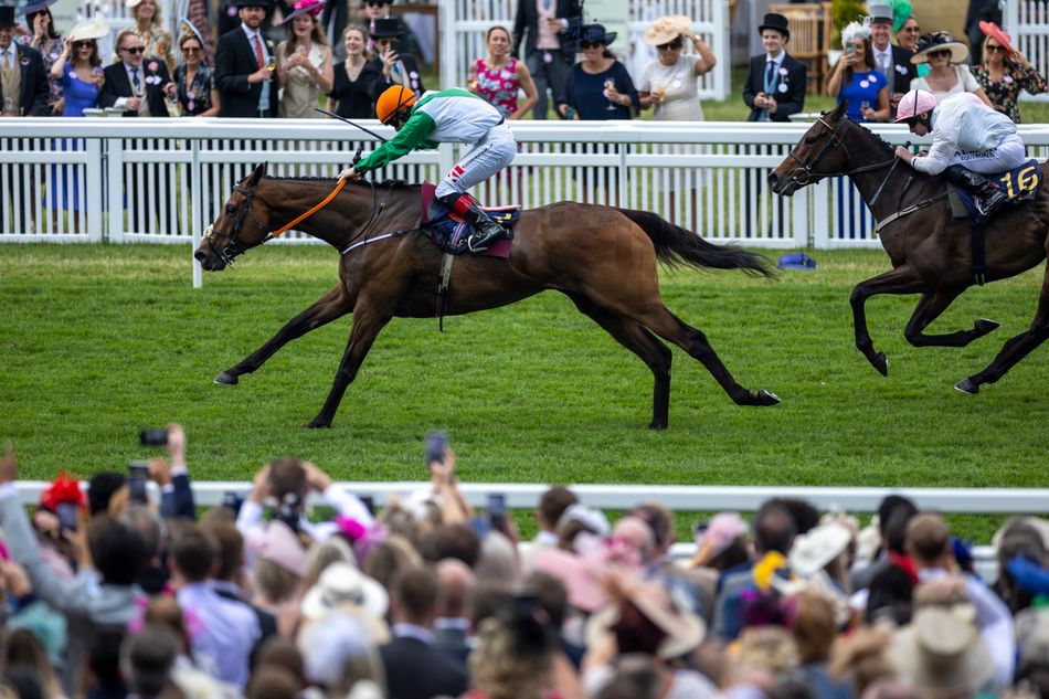 Crystal Black returns for Ger Keane as he bids for repeat win in ...