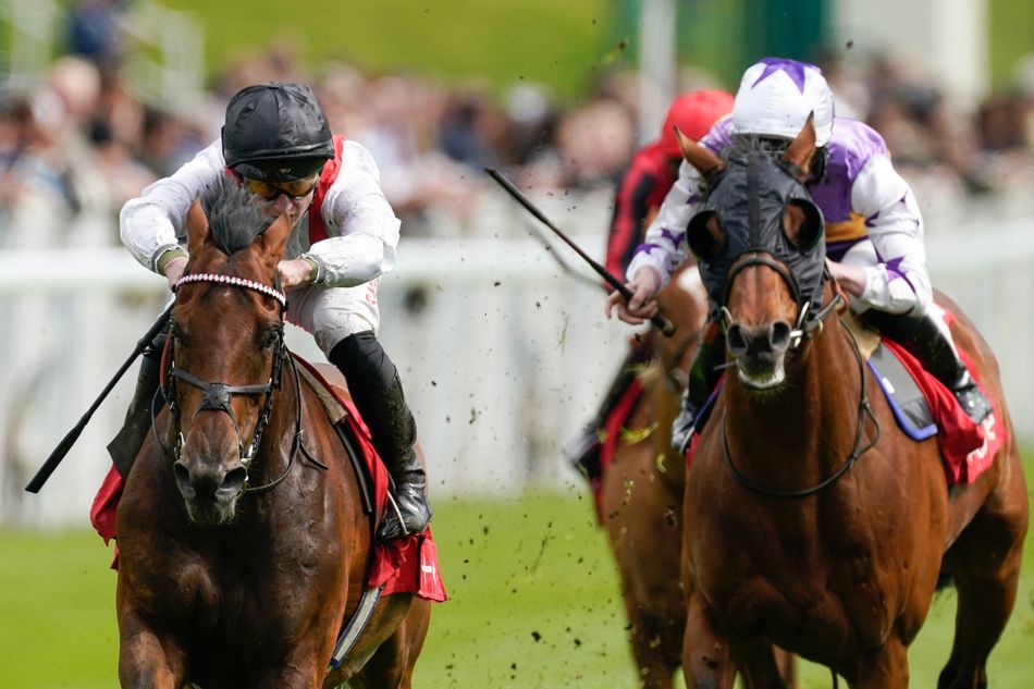 'He just about tolerates me but I love him' - Maureen Haggas' delight ...