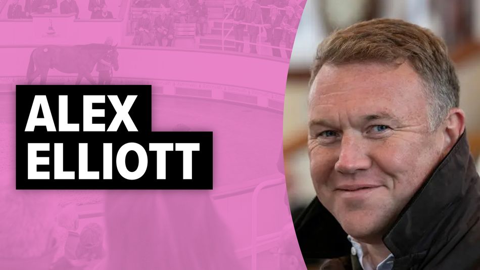 'I think there’s a lot of new money in the industry' | Racing Post