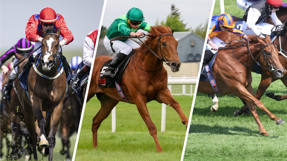 The lowdown on the favourites for the main two-year-old races at Royal ...