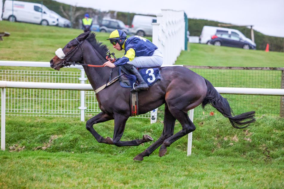 'He took half his hoof off' - injury blamed as 1-6 chance fails to give ...