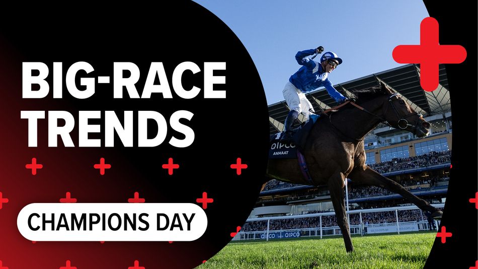Big-race trends: key stats to help you find the winners on Champions ...