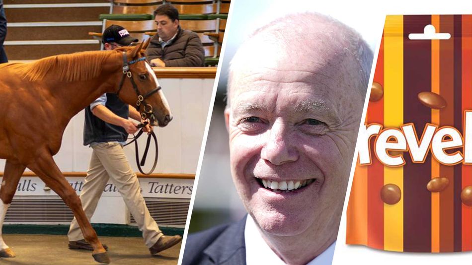Chocs away! How a member of confectionery giant the Mars family is ...