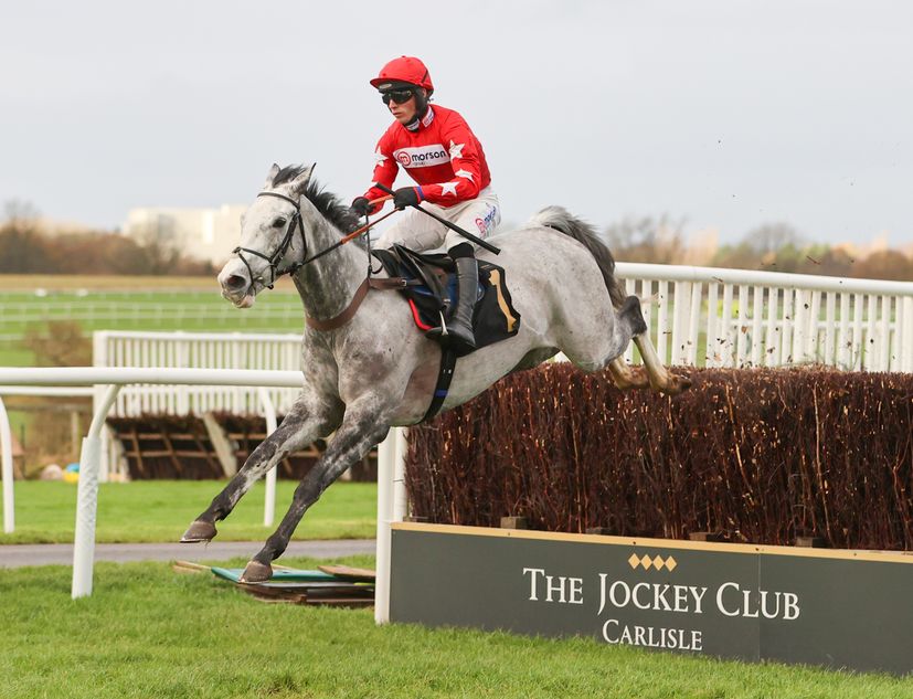 'You're always dreaming about having a horse of this calibre ...