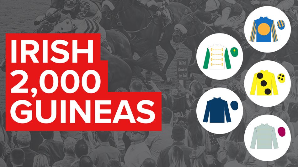 2024 Irish 2,000 Guineas: the runners, the odds, the verdict | Racing Post