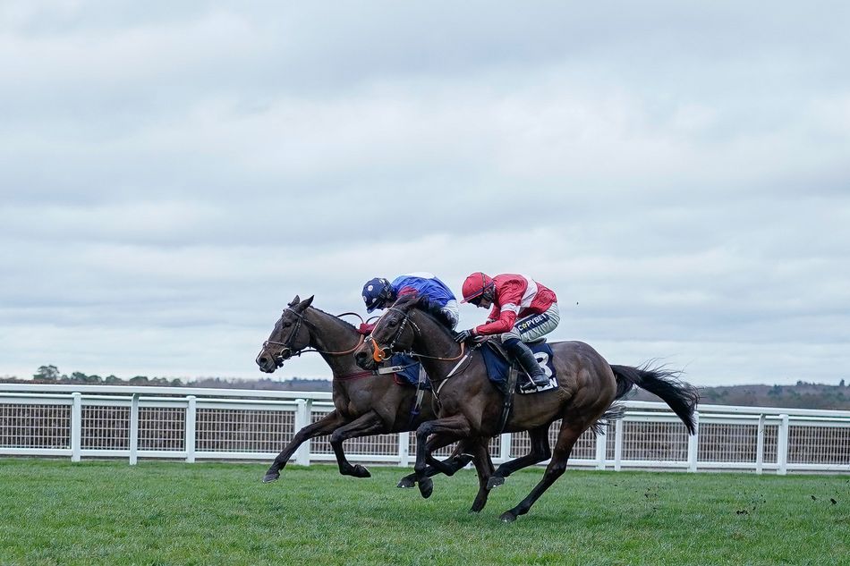 Expert jury: would you be a backer of Crambo at 8-1 for the Stayers ...