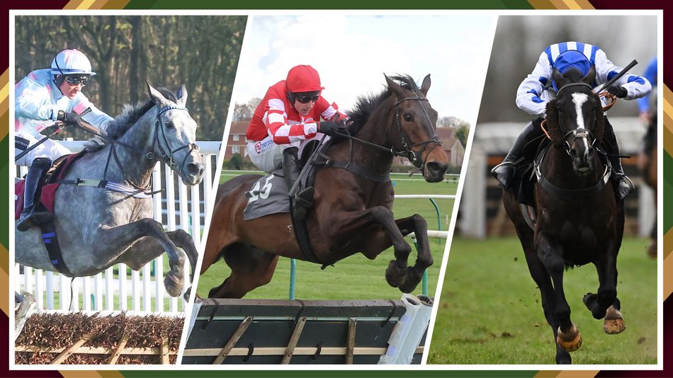 'We'd expect him to run really nicely' - can Catch Him Derry bounce back for team Skelton in ...