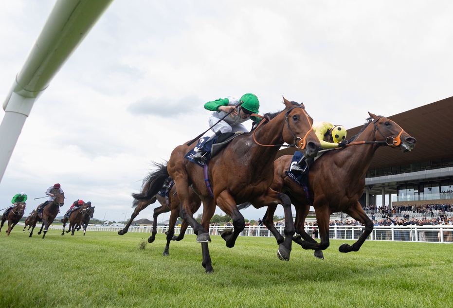 'We're delighted to be a growing part of it' - Curragh boss thrilled to ...