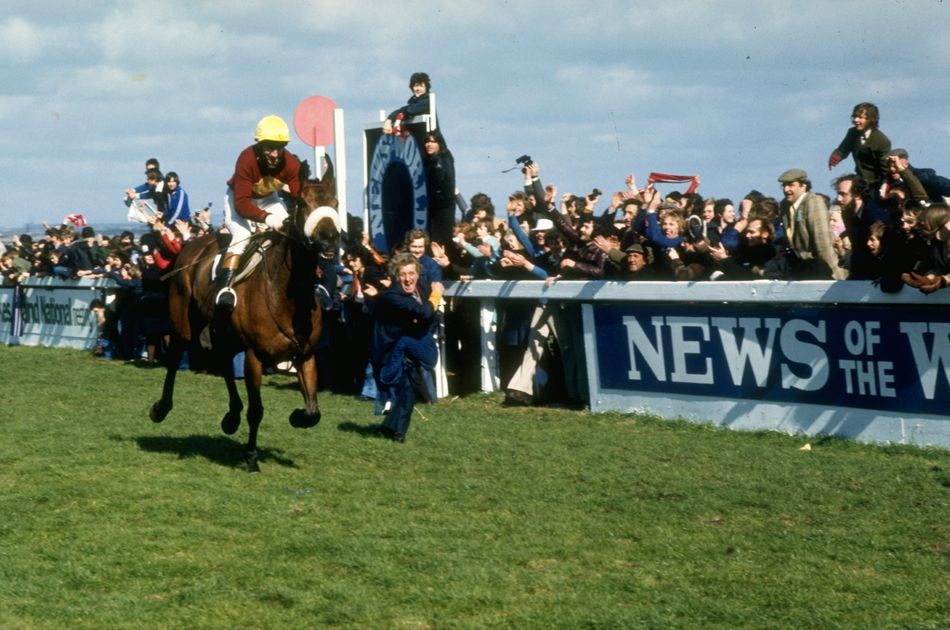 Unique collection of prized racehorse hair and historic Cheltenham Gold ...