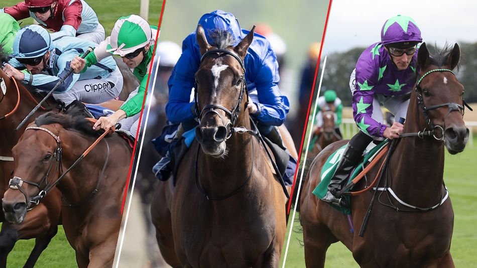 'The form could hardly have worked out better' - five horses who could ...