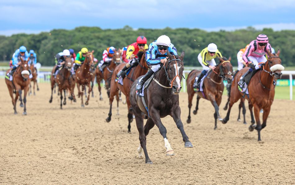 'The Melbourne Cup is the plan, but we've got to get there first ...