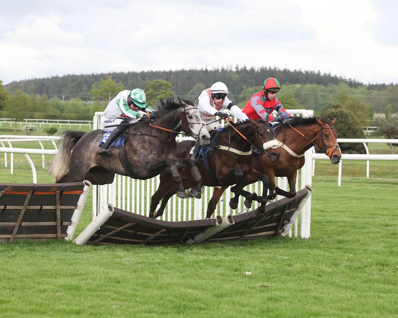 'It's actually my first proper jumps win' - landmark training success ...