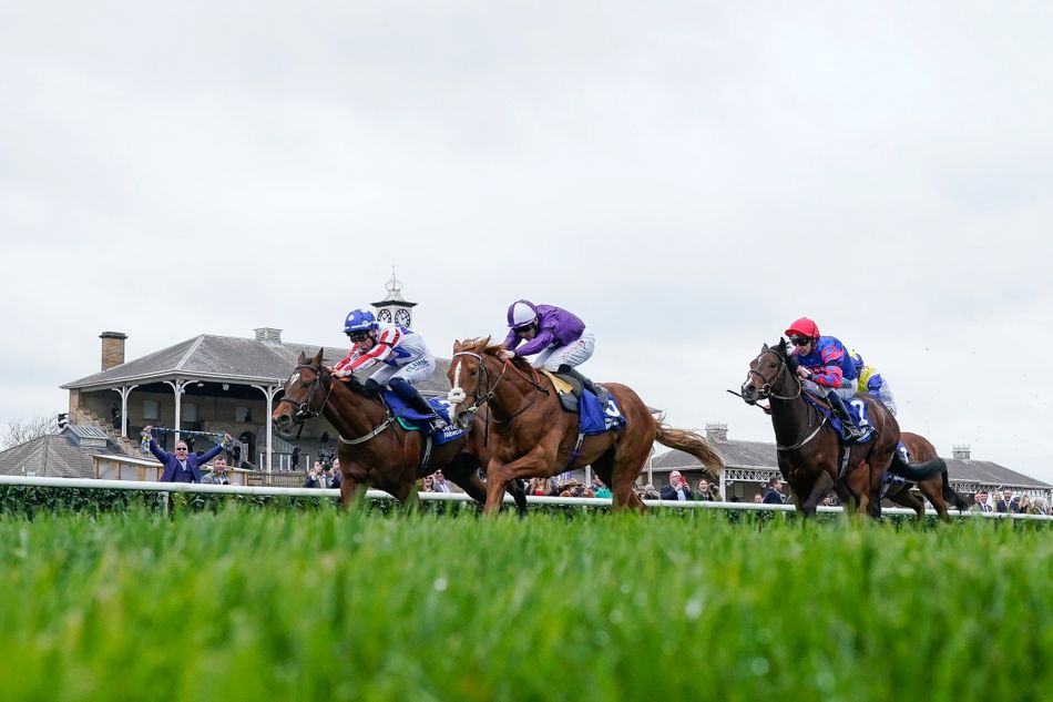 Secret is out as Doddie's Impact lands Brocklesby curtain raiser ...