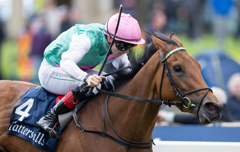 Running in the family: Frankel's niece Legacy Link picks up Group ...