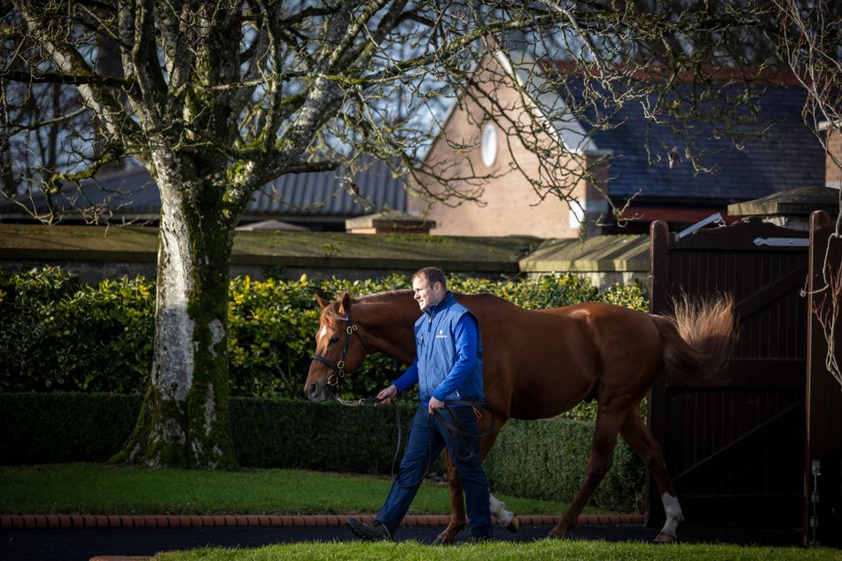 From as low as £15,000 to €150,000: Night Of Thunder’s meteoric rise to ...