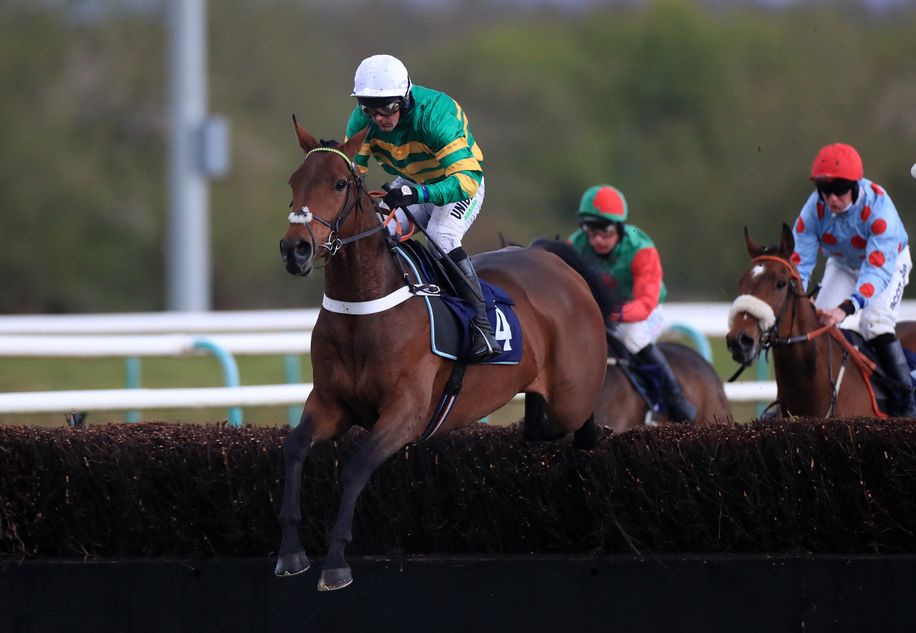 'He's one of my main fancies of the week' - Martin Dixon backing 10-1 ...