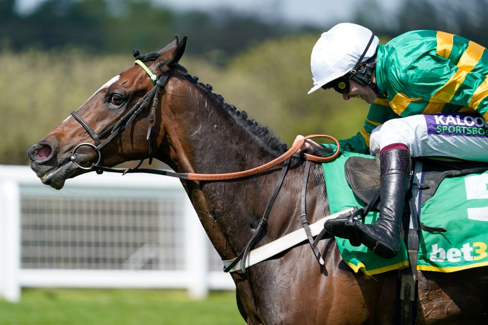 Half-brother of Douvan and Jonbon among 'exceptional' Derby Sale ...