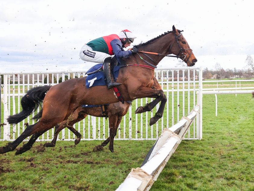 'It's good to knock a few in' - Lucinda Russell and Michael Scudamore ...