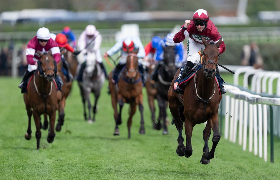 'She's very, very good' - Brighterdaysahead repays Gordon Elliott's ...