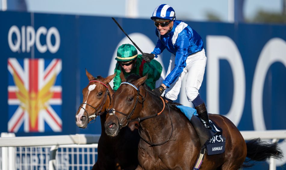 Owen Burrows announces Anmaat retirement a year after 40-1 Champion ...
