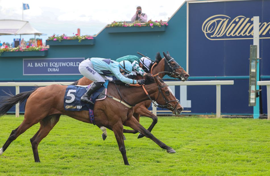 'She has a good chance on the figures' - William Haggas mare sets the ...