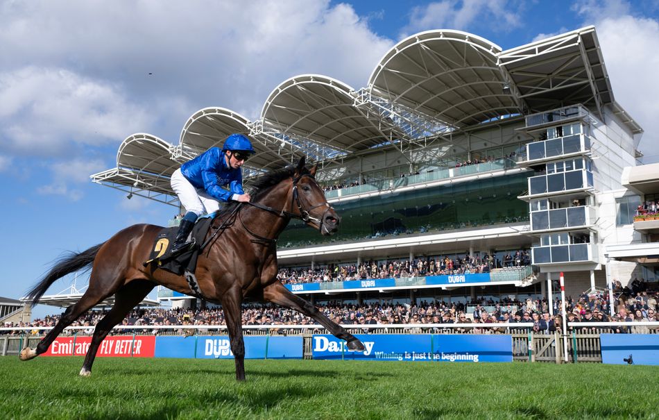 Ancient Wisdom 'showing the right signs and soft ground will enhance ...