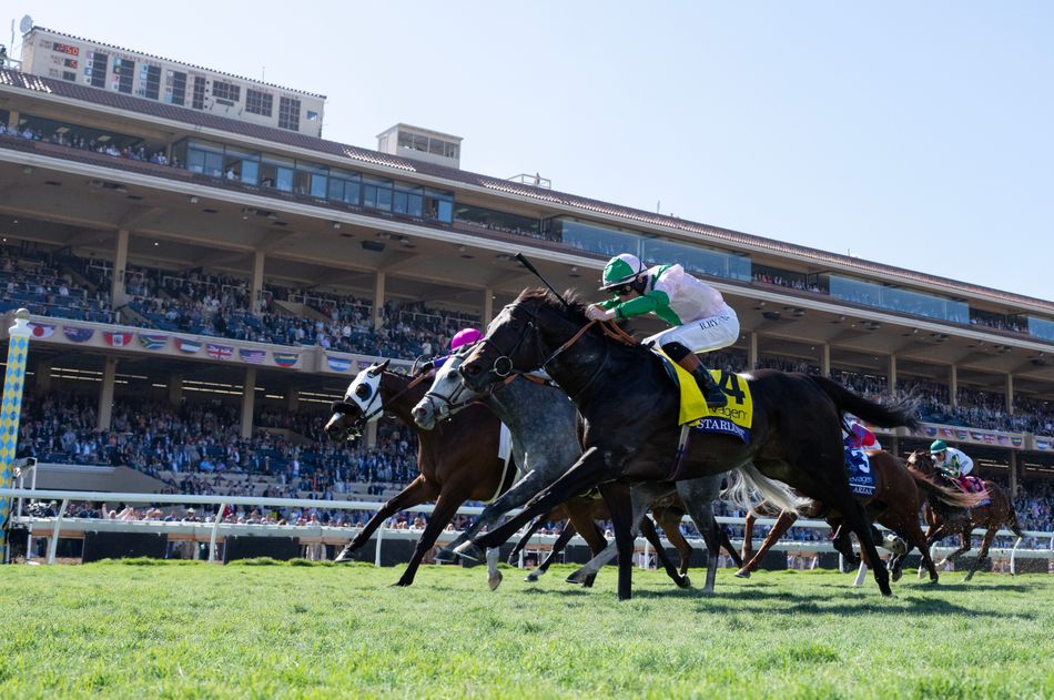 Starlust survives stewards' inquiry to land Turf Sprint and provide ...