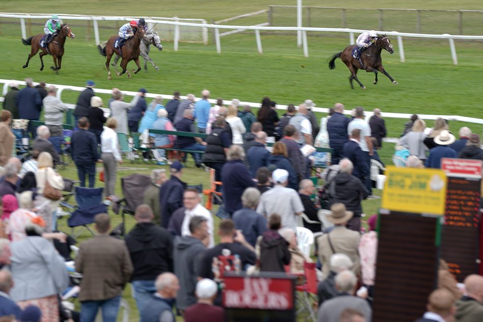 'He's turning into a proper sprinter' - step up in class beckons for ...