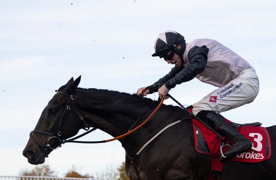 Gold Cup runner-up Gerri Colombe 'in great nick' and set to lead ...