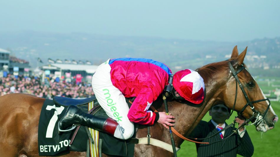 'He went from this powerful racehorse to such a gentle animal - he was ...