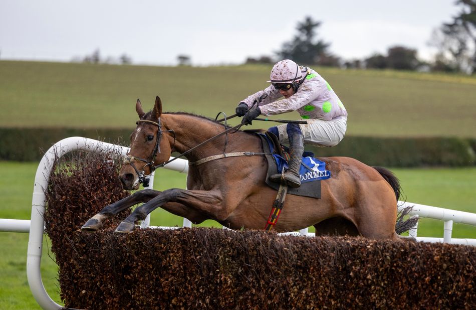 Allegorie De Vassy strikes in Listed contest as Willie Mullins and ...