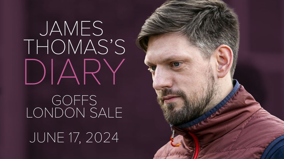 London calling as the sale where anything’s possible ends with an £8.1 million moment of ...