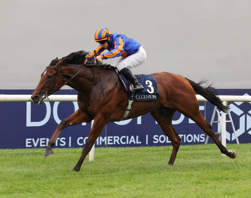 Aidan O'Brien nominates Group 1 target for Constitution River after ...