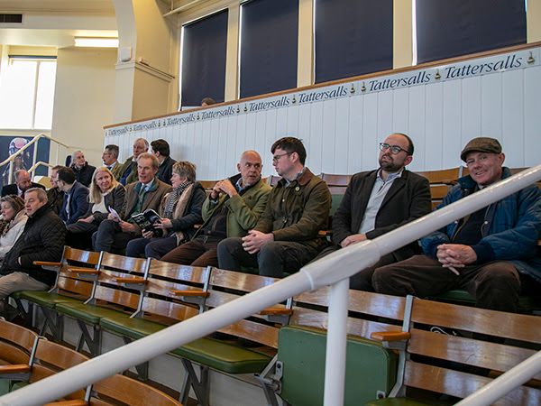 Hopes for 'stronger relationships and increased understanding' as All ...