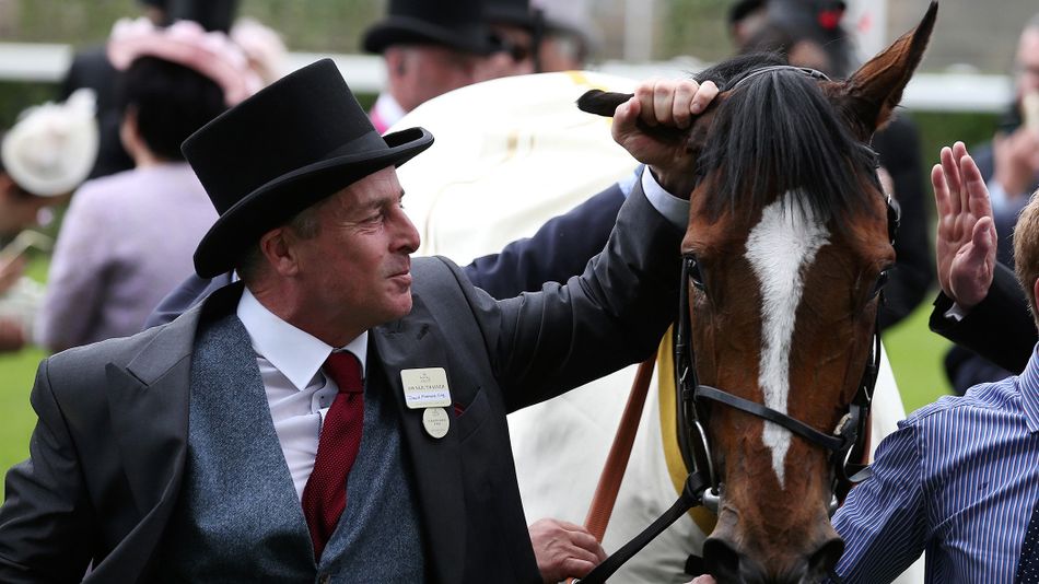 'She's improving all the time' - can David Marnane's winning machine ...